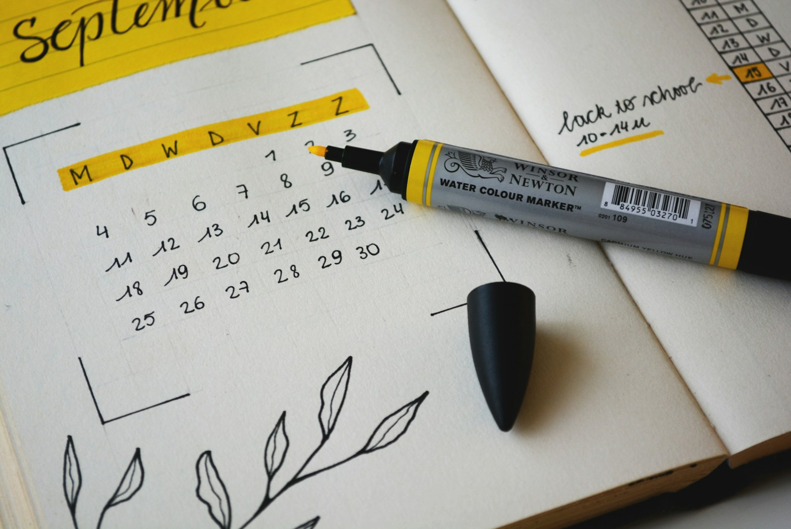 A Day in the Life of a Children’s Writer | Katie Davis