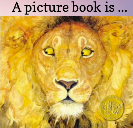 what is a picture book